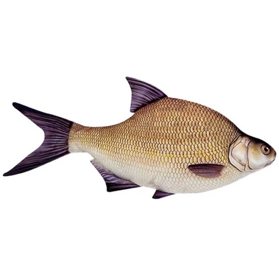 Vzglavnik Gaby ET Bream 34-70cm » Spletna ribiška trgovina Trofeja