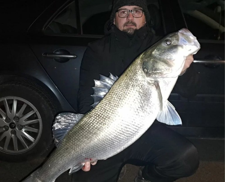 Guma IFC Scented Lure Spooky 95mm » Spletna ribiška trgovina Trofeja